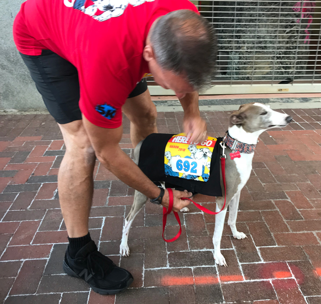 DEVOtional 2018 & 5KDEVO: Devo-Obsesso Report